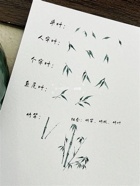 零基础也能轻松学会的水彩竹子美甲教程 小红书 花瓣网