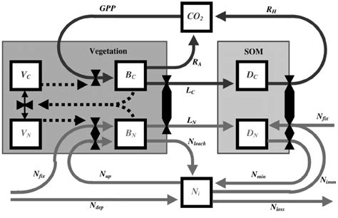 Structure For The Multiple Element Limitation Mel Model Rastetter Et