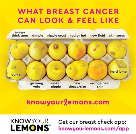 Know Your Lemons Palmer General Surgeon Mat Su Surgical Associates Apc