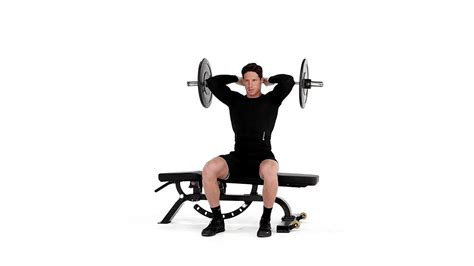 Overhead Ez Bar Triceps Extension Exercise Instructions