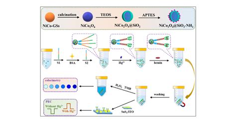 Colorimetric And Photocurrent Polarity Switching Photoelectrochemical Dual Mode Sensing Platform