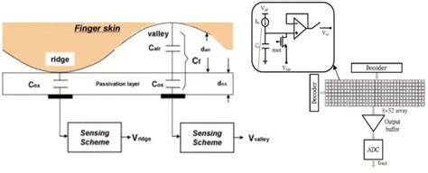 Interfacing R502r503 Capacitive Fingerprint Sensor With Arduino