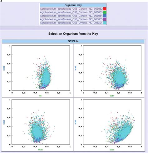 A Visualization Of The Correlation Between Synonymous Codon Usage