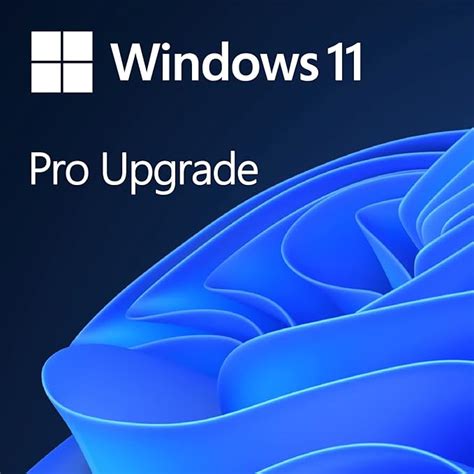 Windows 11 Pro Upgrade Equal Systems