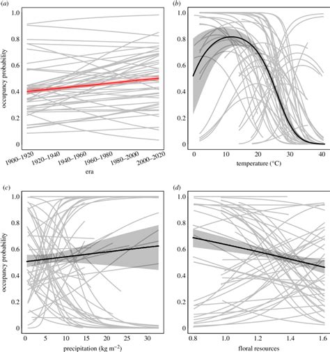 Species Specific Occupancy Trends Are Variable But On Average