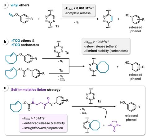A Bioorthogonal Cleavage Of Vinyl Ethers Via Inverse Electron Demand Download Scientific