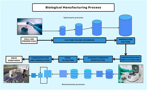 Sc Ctsi Manufacturing Drugs And Biologics