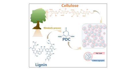 Ionic Conductive Organogels Based On Cellulose And Lignin Derived