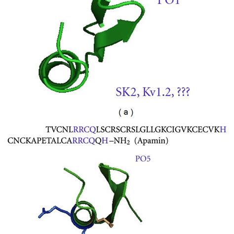 Amino Acid Sequences And 3d Structures Of P01 And P05 A Amino Acid Download Scientific