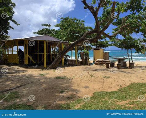 Typical Jamaican Beach Hut Stock Image Image Of Seascape 162824933