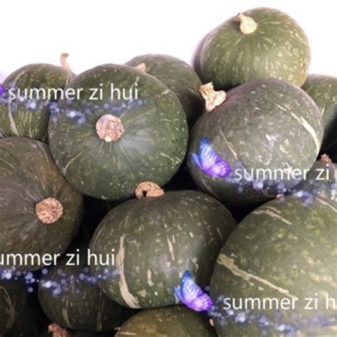 【ship Every Week】japanese Pumpkin Pumpkin Labu Labu Jepun Labu Jepun Cameron Highlands Lazada