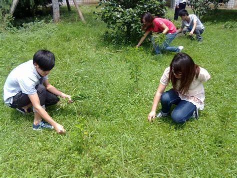 学生党支部举行拔草义务劳动