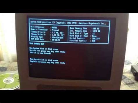 The Stoned Virus YouTube