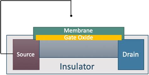 Chemically Sensitive Field Effect Transistor Chemfet Diagram For Download Scientific Diagram