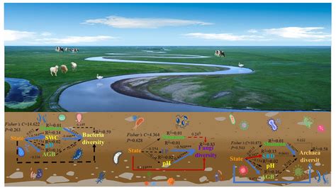 Different Flooding Conditions Affected Microbial Diversity In Riparian