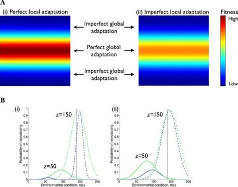 Adaptive Landscape For Species Subject To Local And Global Adaptation Download Scientific
