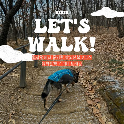 역삼점 야외산책 원데이클래스 우쭈쭈 케어센터 ｜ 반려견이 공감하는 반려문화를 만들어요