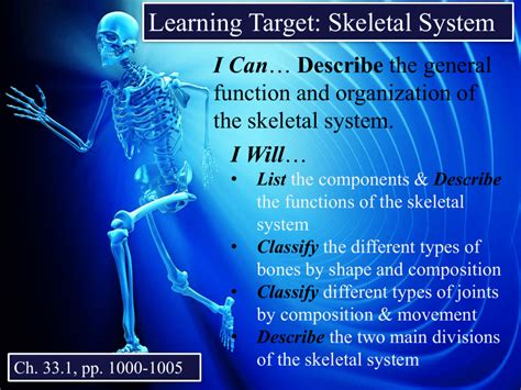 Skeletal System Function