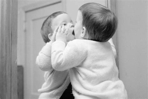 The Kiss Taxonomically Classified The Picture Show Npr