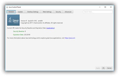 Java Runtime Environment 901 Katılımsız Solidsharenet