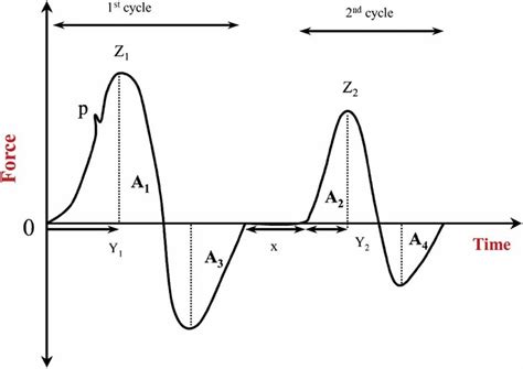 Typical Instrument Texture Profile Analysis Tpa Graph Download