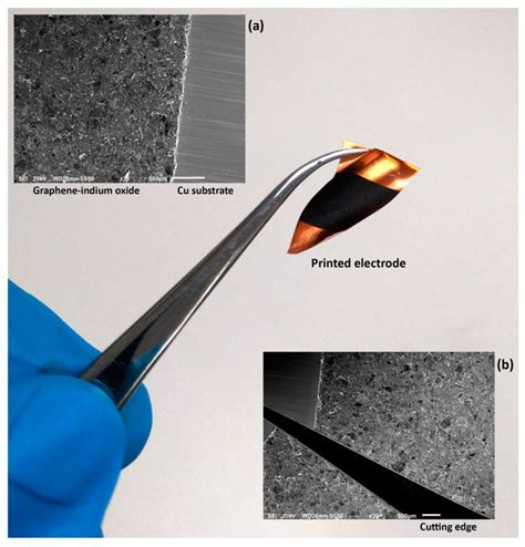 Chemosensors Mdpi On Linkedin Review Electrochemicalsensor Ethanoldetector 2dmaterials…