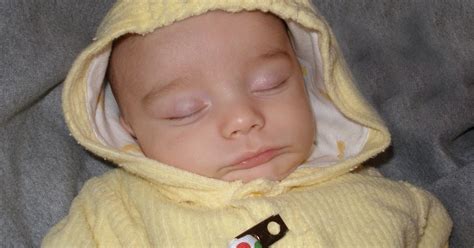 Just Another Day In Paradise Lucas The Duck