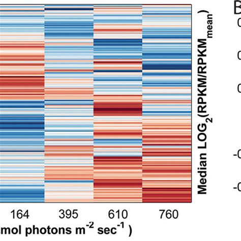 Hierarchical Clustering Of Relative Transcript Abundances In Download Scientific Diagram
