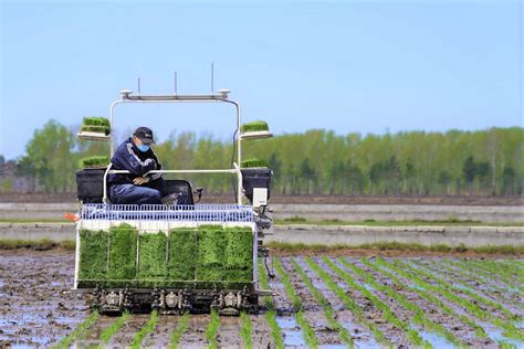 ¡microsoft azure data manager for agriculture ya está disponible