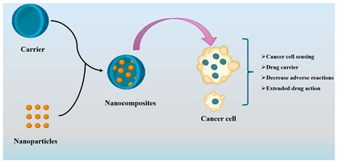 Recent Advancements In Metallic Au And Ag Based Chitosan Nanocomposite Derivatives For Enhanced