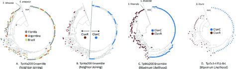 Comparison Of The Four Collections By Phylogenetic Analysis For Each