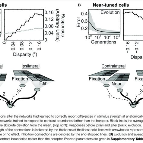 Esterman Visual Field Test Output From The Humphrey Visual Field Download Scientific Diagram