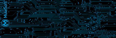 Mulesoft Spring Aop Aspectj Appnovation