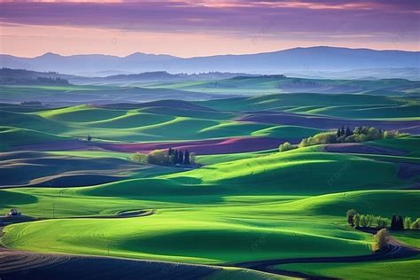 조감도에서 구불 구불 한 언덕의 전망 고해상 곡식 농업 배경 일러스트 및 사진 무료 다운로드 Pngtree