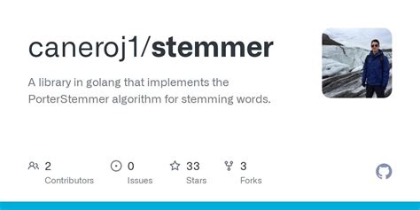 porter stemmer algorithm implemented in go r golang