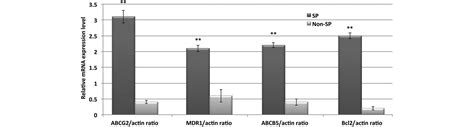 Increased Multi‑drug Resistance And Reduced Apoptosis In Osteosarcoma
