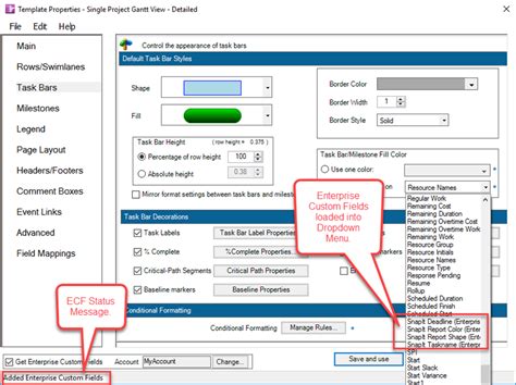 Using Enterprise Custom Fields From Microsoft Project For Onepager Pro