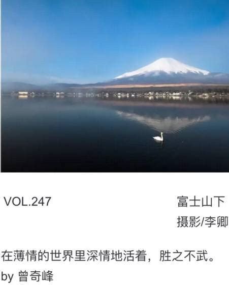 靳东微博又被打脸了为什么男明星都喜欢立人设