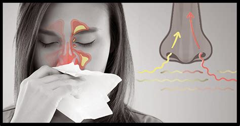 Therapist Shares How To Immediately Clear Your Sinuses In Two Steps