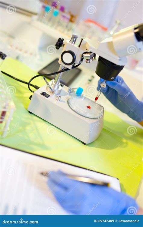 Woman In A Laboratory Working With A Microscope Stock Image Image Of Pharmaceutical