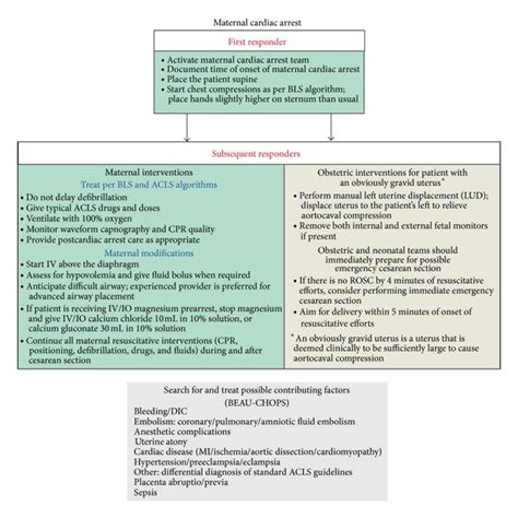 Maternal Cardiac Arrest Algorithm [3] Download Scientific Diagram