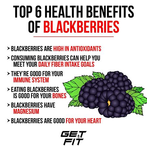 Siniguelas Fruit Benefits Artofit
