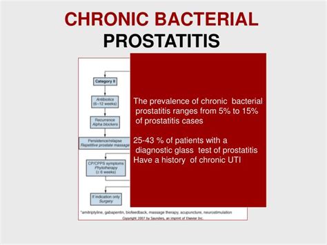 Ppt Prostatitis Powerpoint Presentation Id 1406222