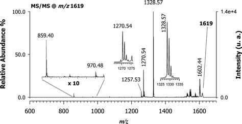 Maldi Toftof Tandem Mass Spectra In Positive Ion Mode Of Download Scientific Diagram