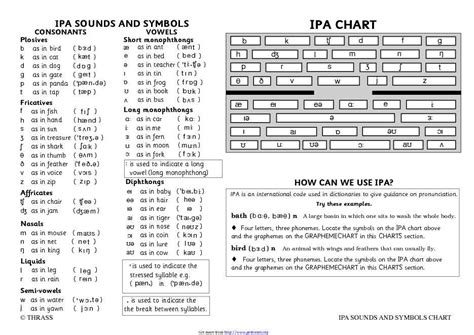 IPA Sounds And Symbols Chart Download Phonetics Chart For Free PDF Or Word