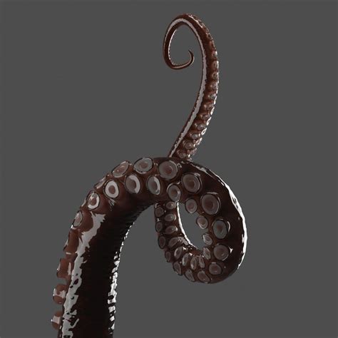 Tentacle Free 3d Models Download Free3d