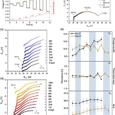 Characterization Of Lilpsili Symmetric Cells Using Wet‐27 And Dry‐27