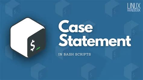 Case Statements In Bash Examples Explained