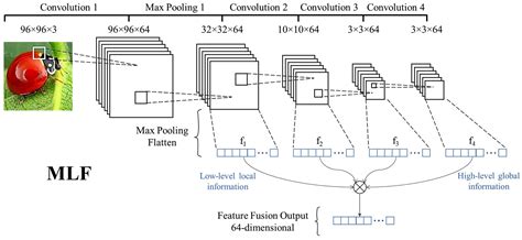 A Multi Layer Feature Fusion Method For Few Shot Image Classification