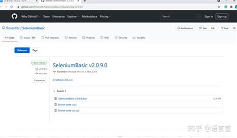 Selenium For Vba的配置 知乎